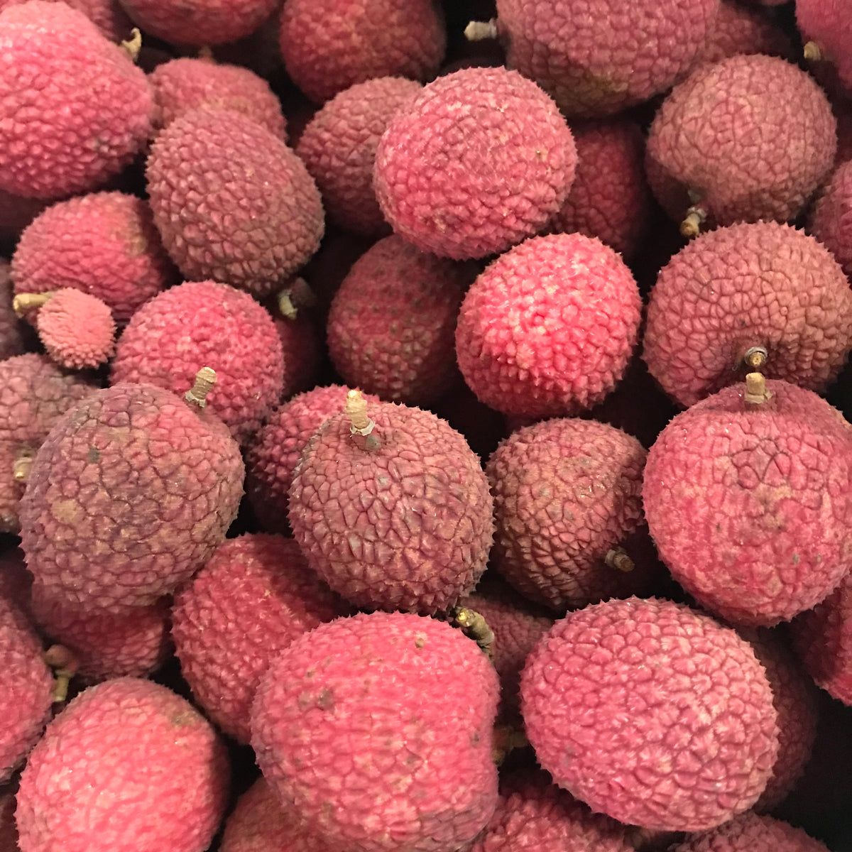 Lychee Tree 'Mauritius' – Incredible Edible Landscapes